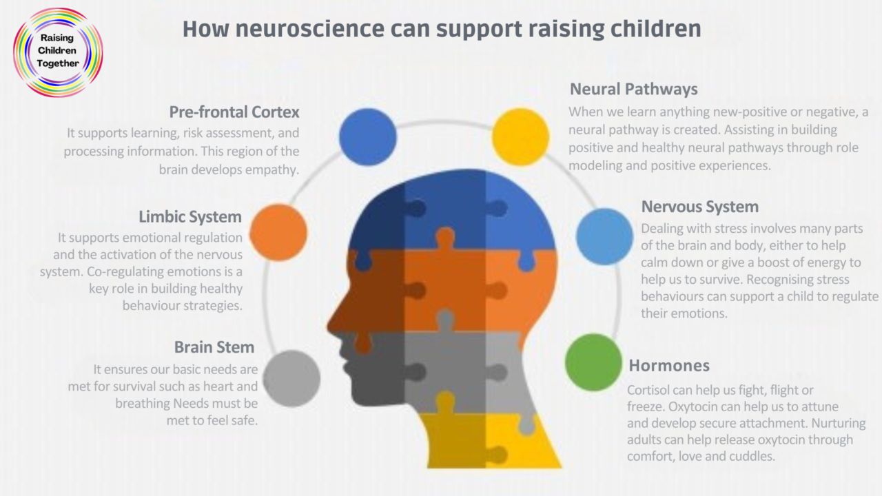 Why Neuroscience Matters | My Blog